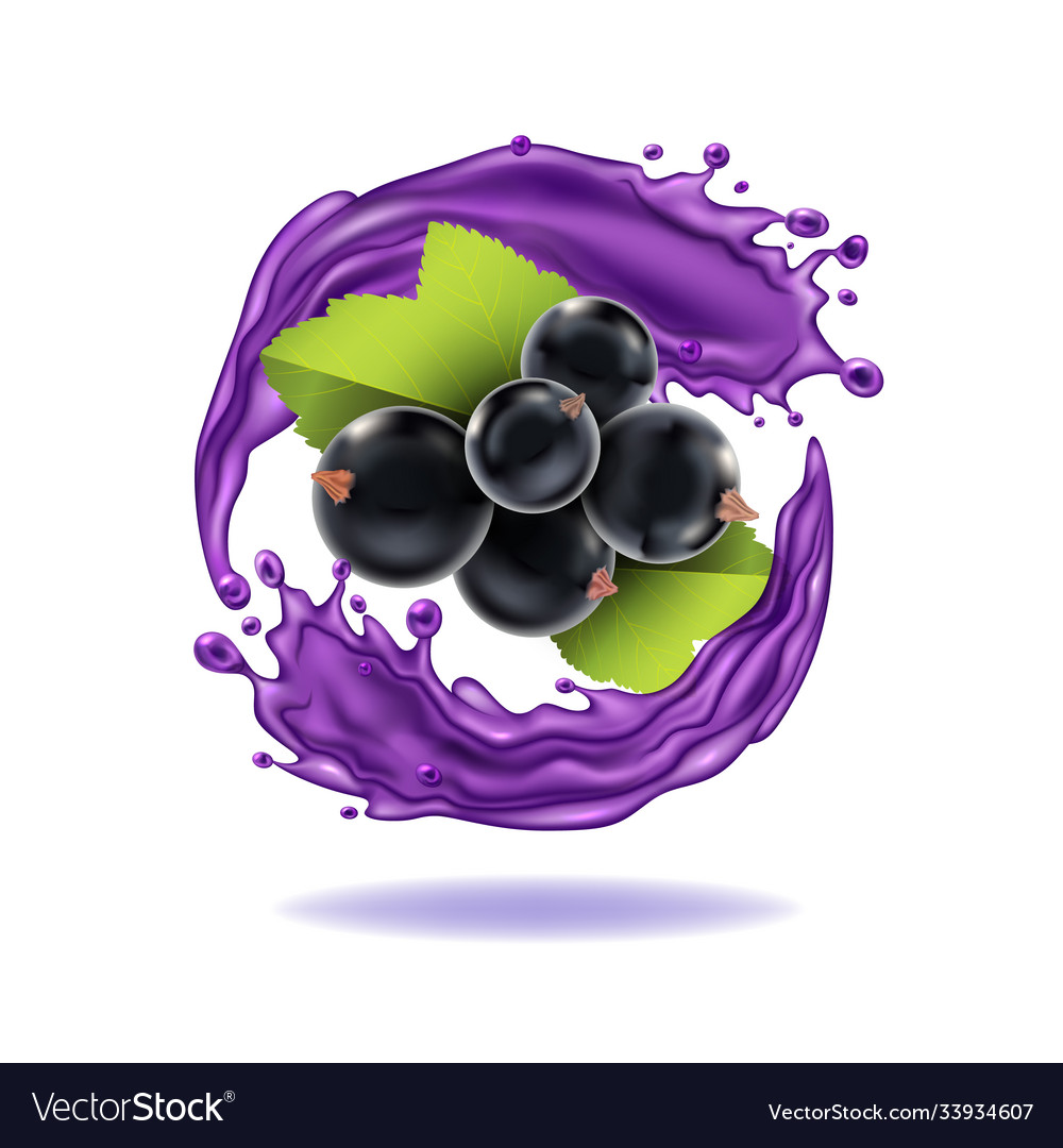 Realistic detailed 3d black currant berries Vector Image Realistic detailed 3d black currant berries Vector Image