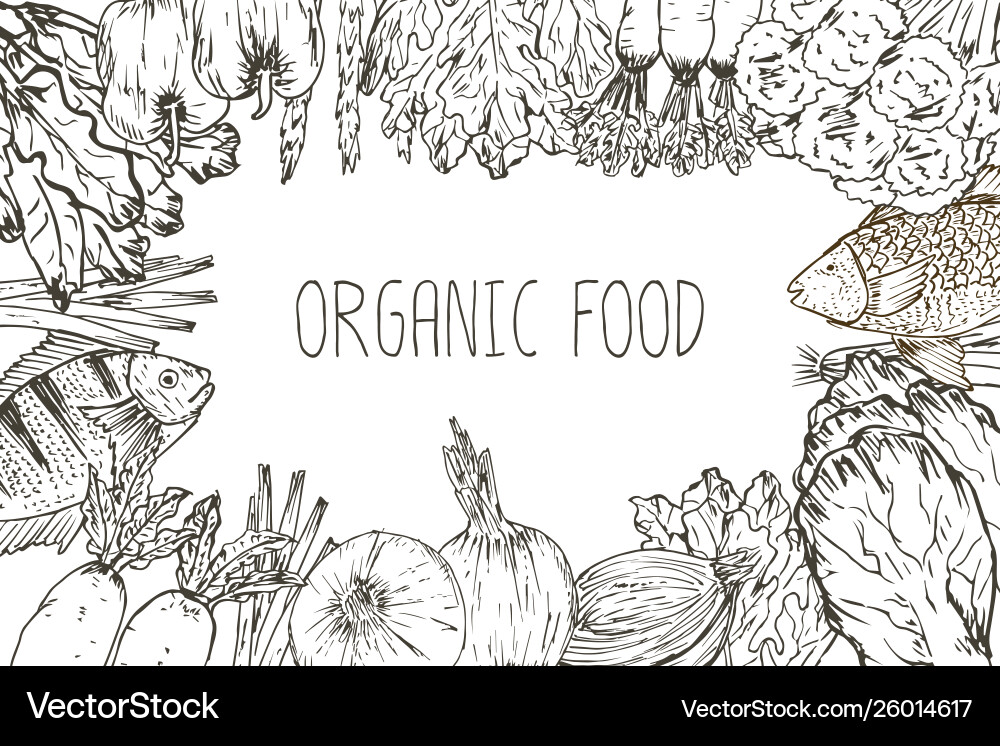 Hand drawn organic food background Royalty Free Vector Image
