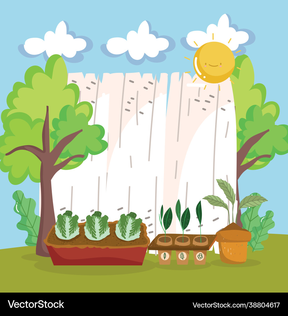 Planting and cultivation vegetables Royalty Free Vector