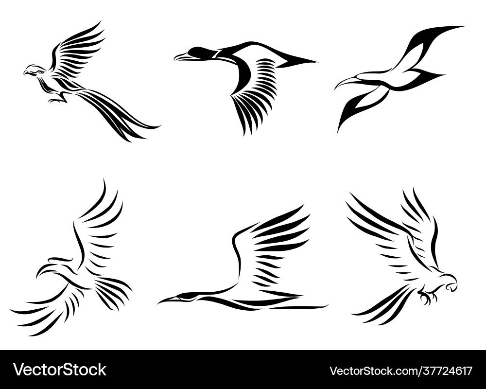 Set six images various birds flying Royalty Free Vector