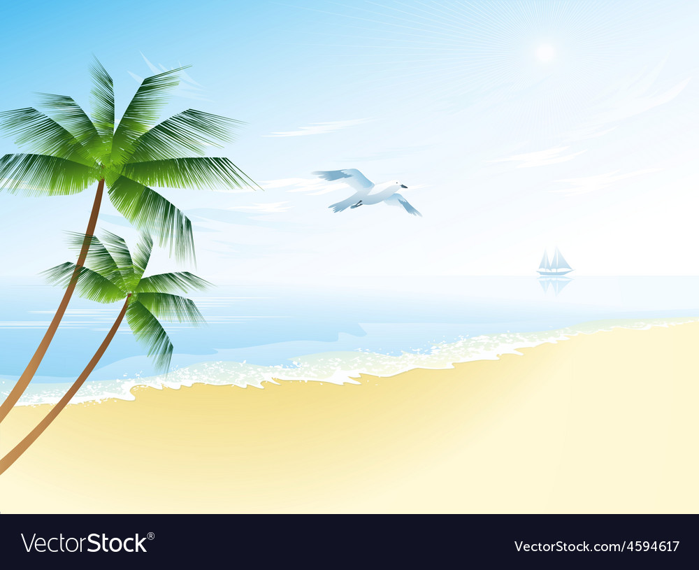 Summer beach with palm trees Royalty Free Vector Image