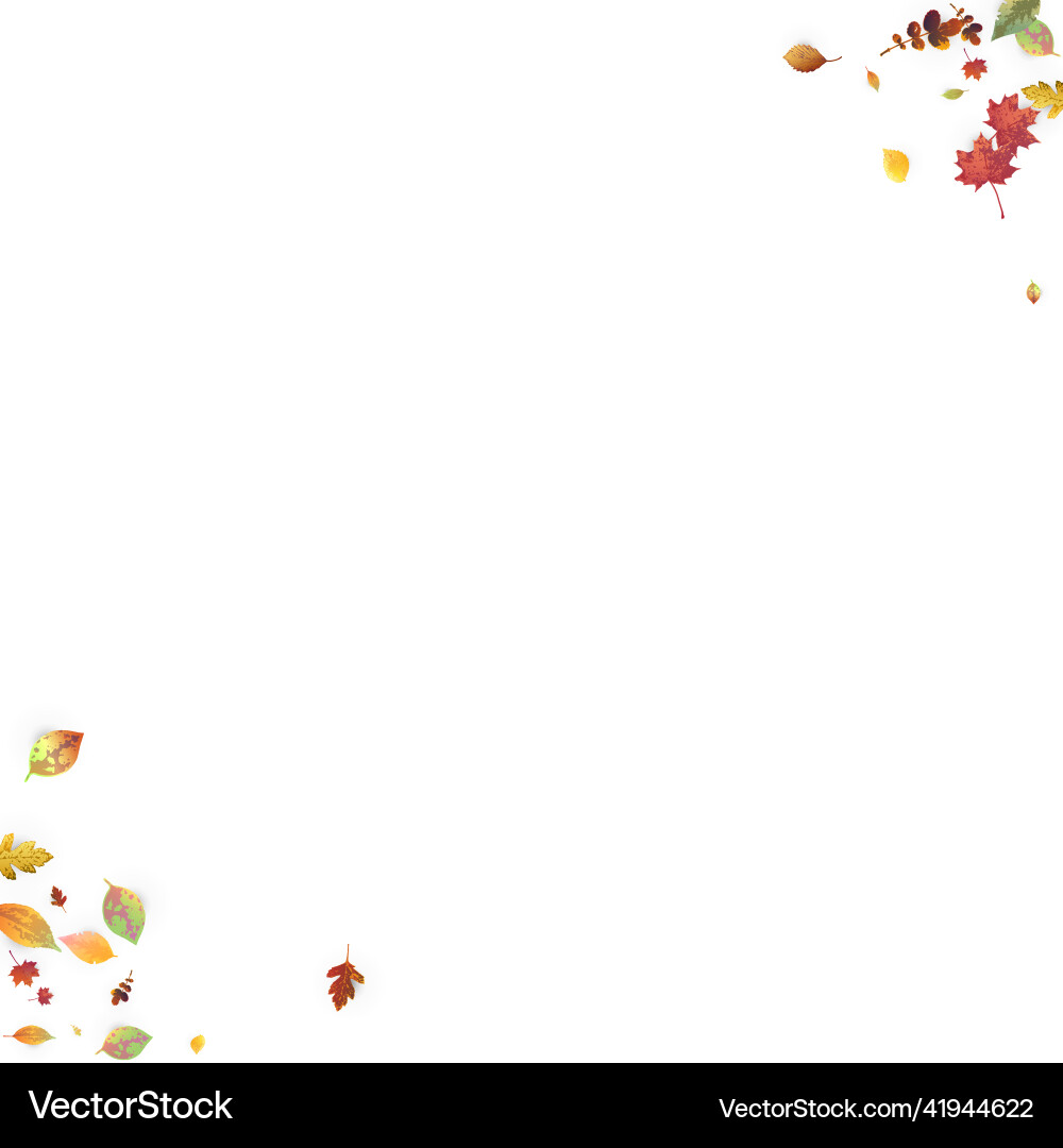 Leaves falling autumn foliage chaotic leaf flying Vector Image