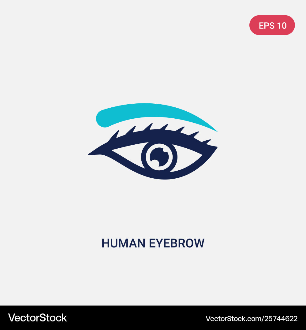 Two color human eyebrow icon from human body Vector Image