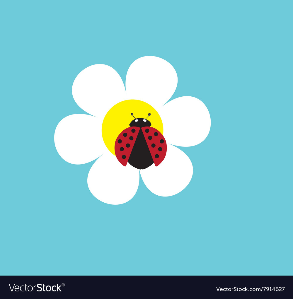 Ladybug bugs Royalty Free Vector Image - VectorStock