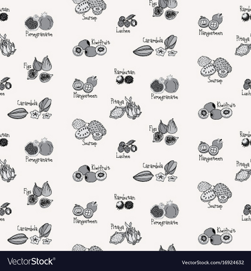 Fruits patterns Royalty Free Vector Image - VectorStock