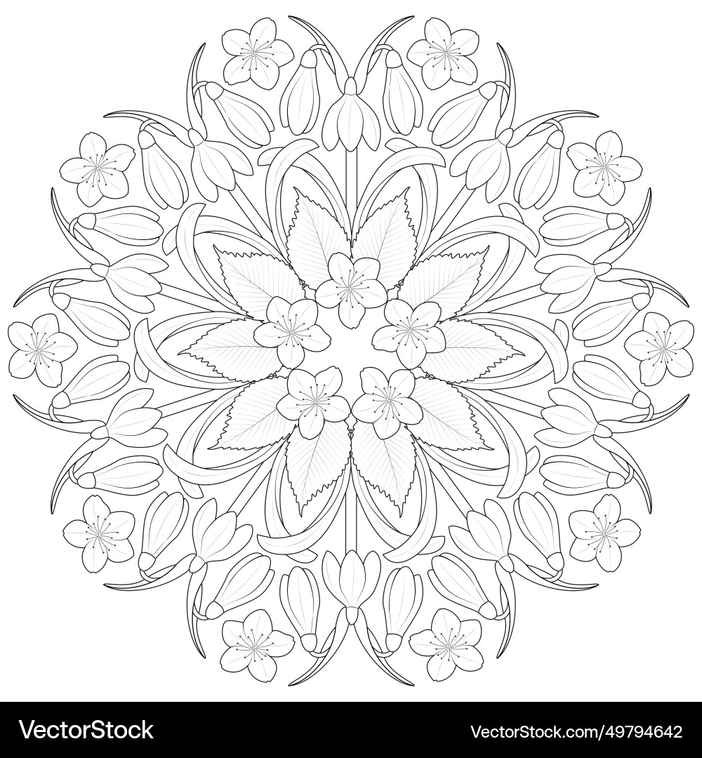Spring flower mandala in black and white round Vector Image