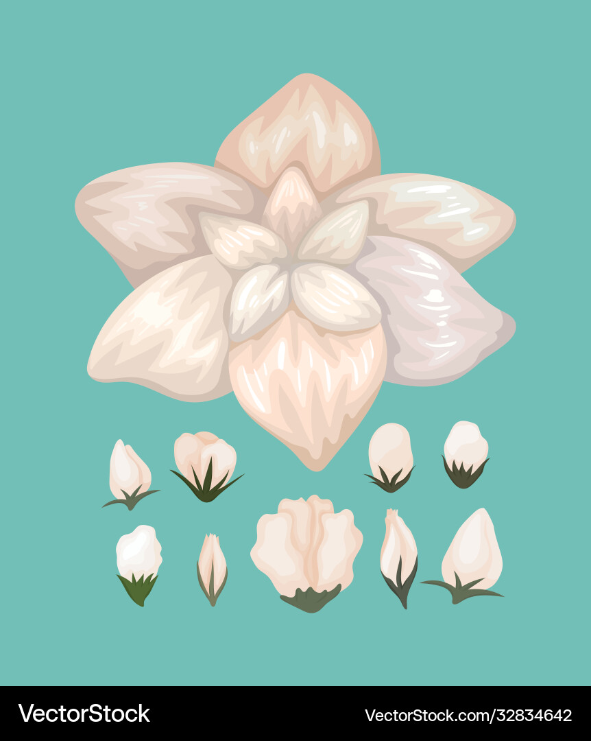 White flower painting design Royalty Free Vector Image