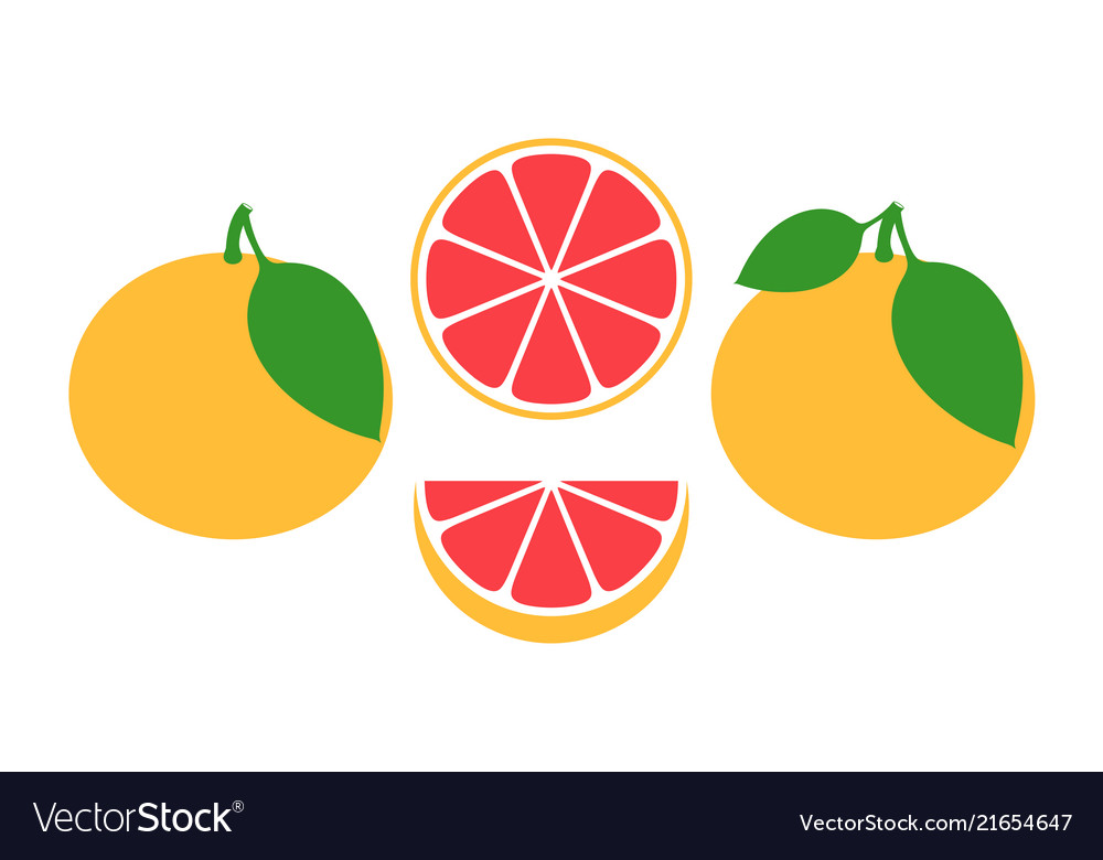 Grapefruit Royalty Free Vector Image - VectorStock