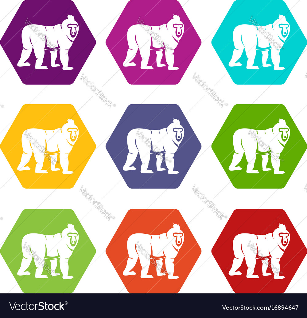 Mandrill monkey icon set color hexahedron Vector Image