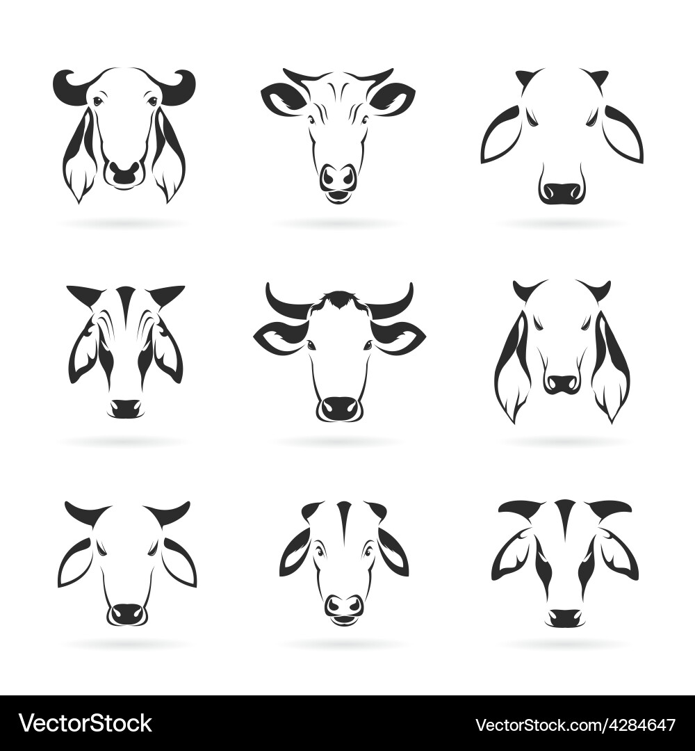 Set of cow head Royalty Free Vector Image - VectorStock