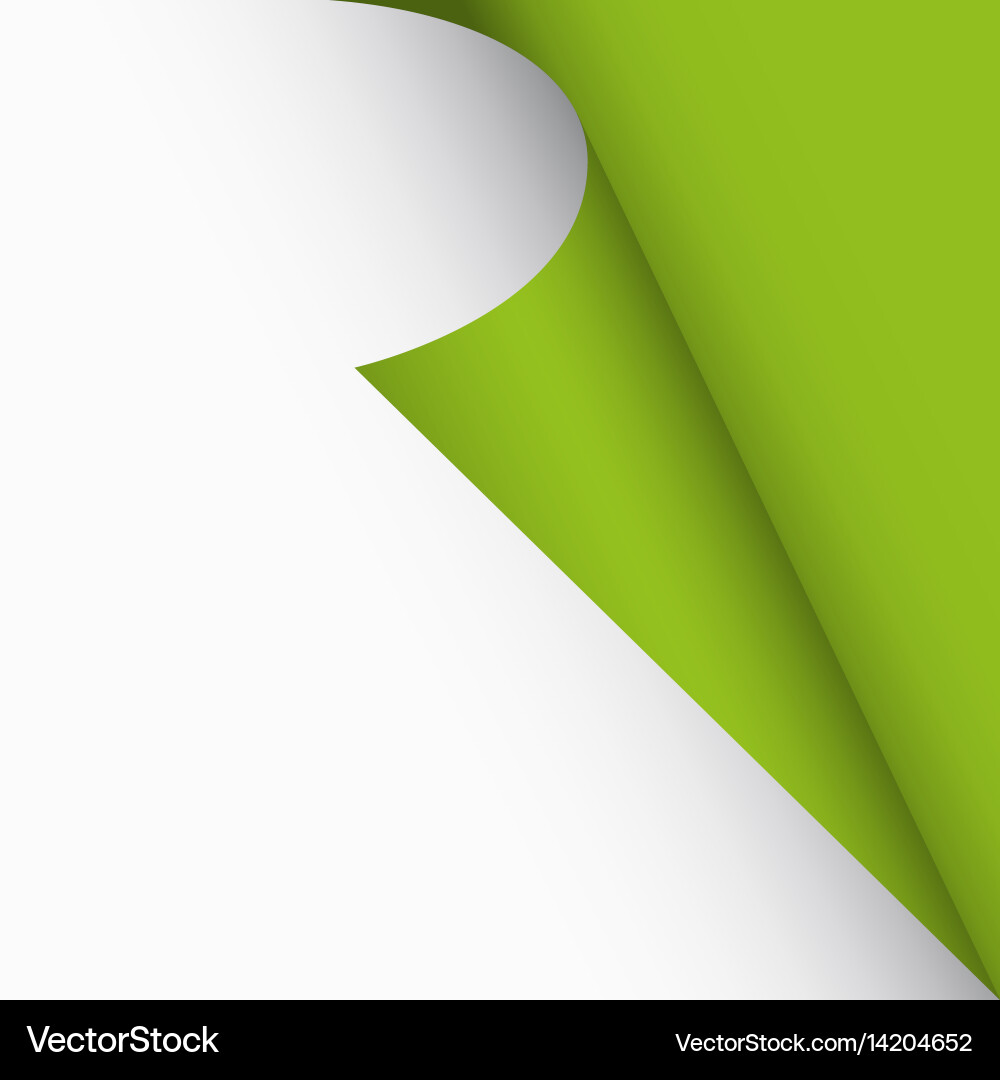 Curled corner of white paper with shadow Vector Image