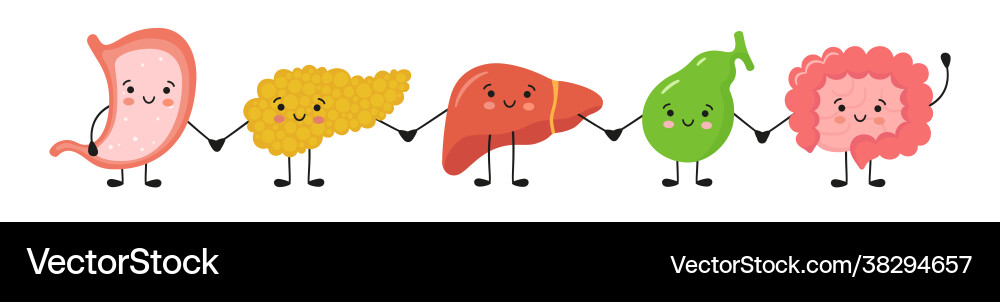 Gastrointestinal tract organs kawaii characters Vector Image