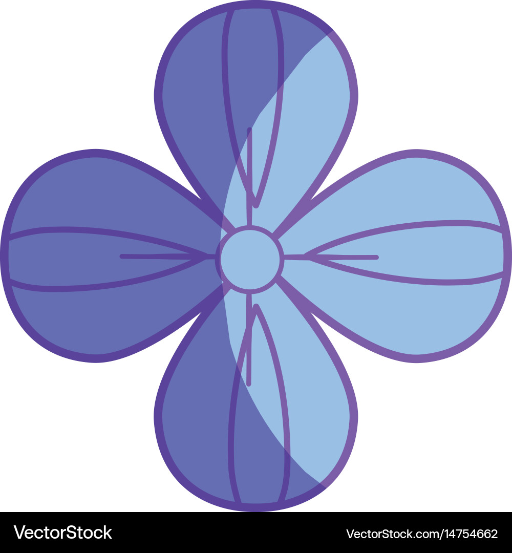 Beautiful petals flower herbal botany Royalty Free Vector