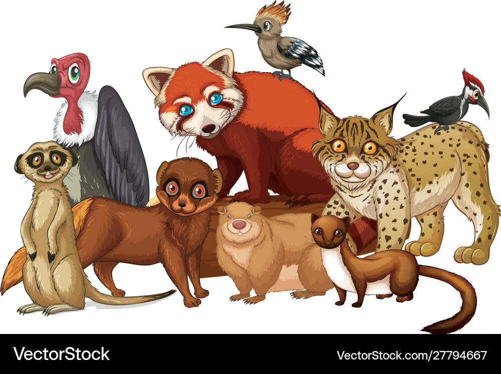 Isolated picture many animal Royalty Free Vector Image