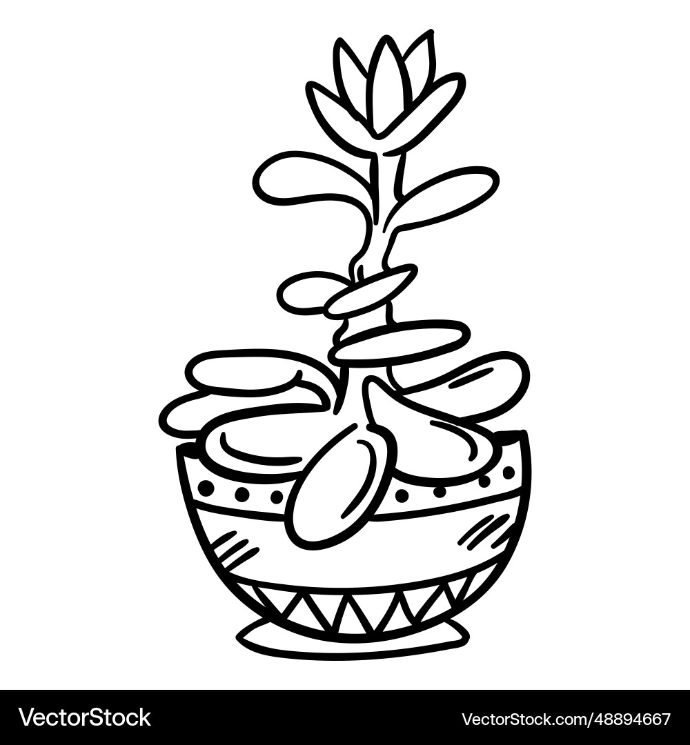 Jade plant pot succulent outline Royalty Free Vector Image