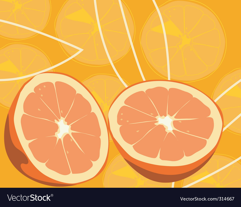 Orange Royalty Free Vector Image - VectorStock