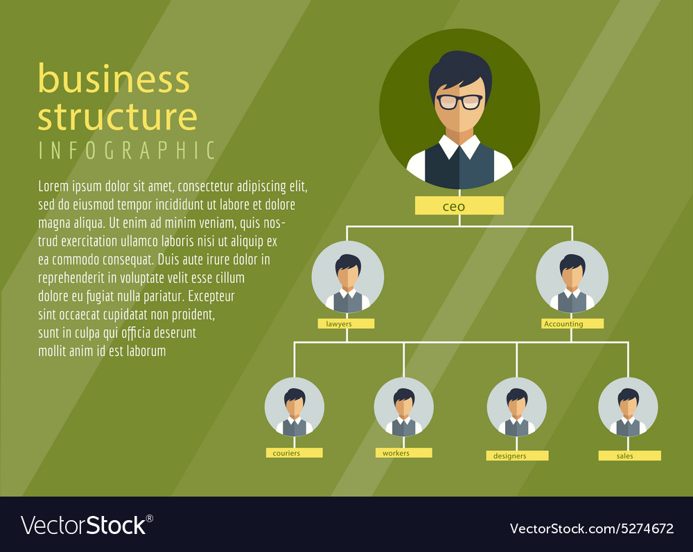 Business structure infographic tree Royalty Free Vector