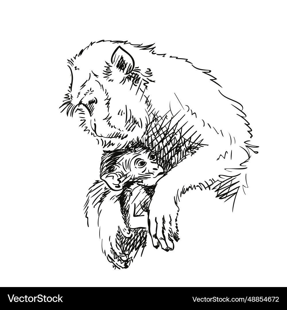 Monkey with cub sketch macaque mom baby hand Vector Image