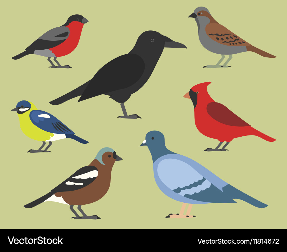 Set of flat birds isolated on background Vector Image