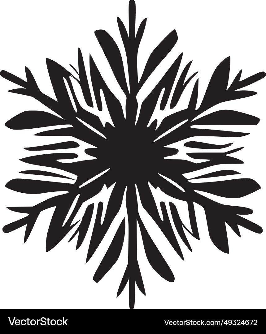 Snowflake - high quality logo - ideal for t-shirt Vector Image