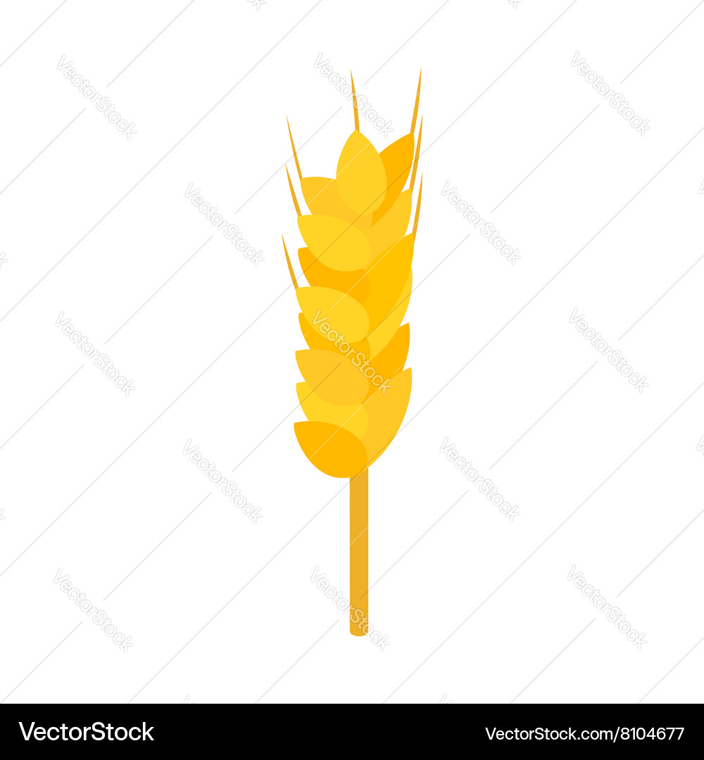Wheat icon isometric 3d style Royalty Free Vector Image