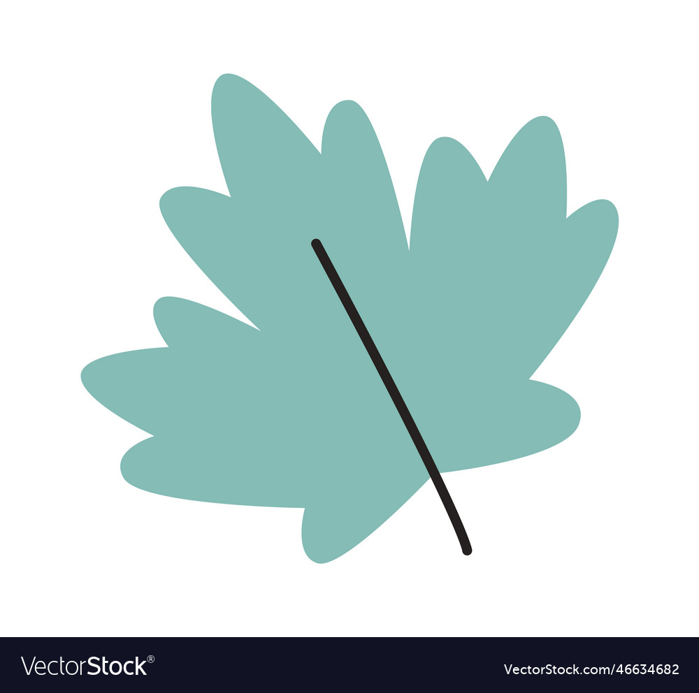 Maple tree leaf Royalty Free Vector Image - VectorStock