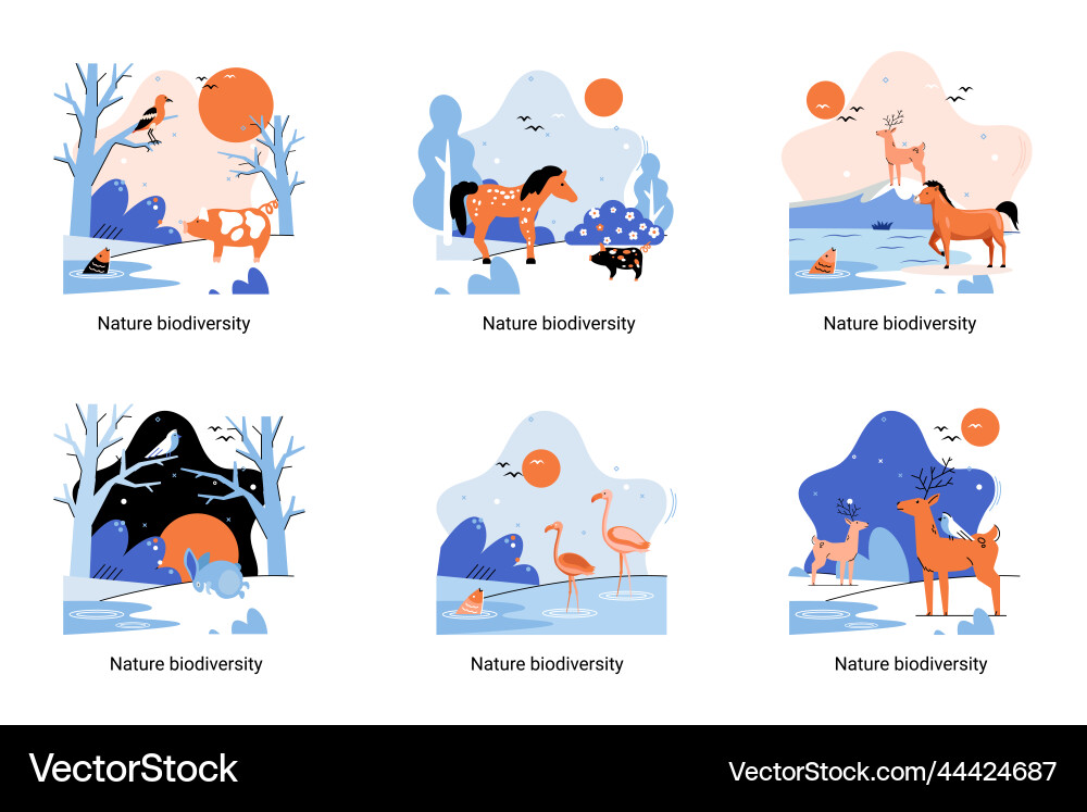 Biodiversity in nature as environment variety Vector Image
