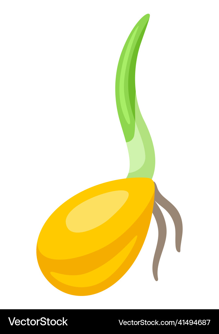 Sprouted seed for sowing agricultural planting Vector Image