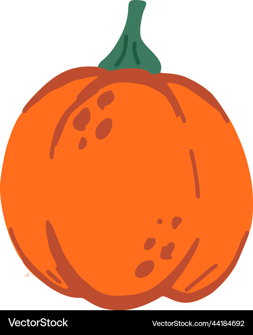 A drawn of pumpkin Royalty Free Vector Image - VectorStock