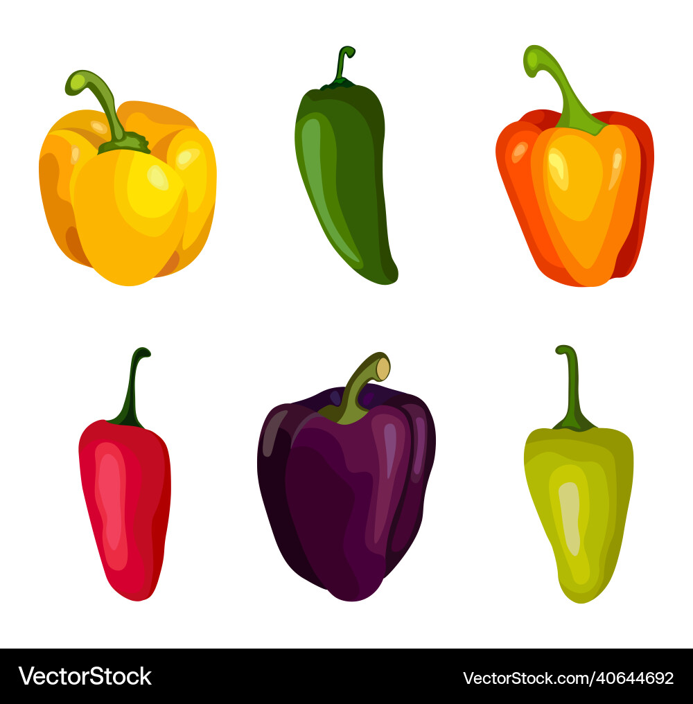 Set of pepper on white background Royalty Free Vector Image