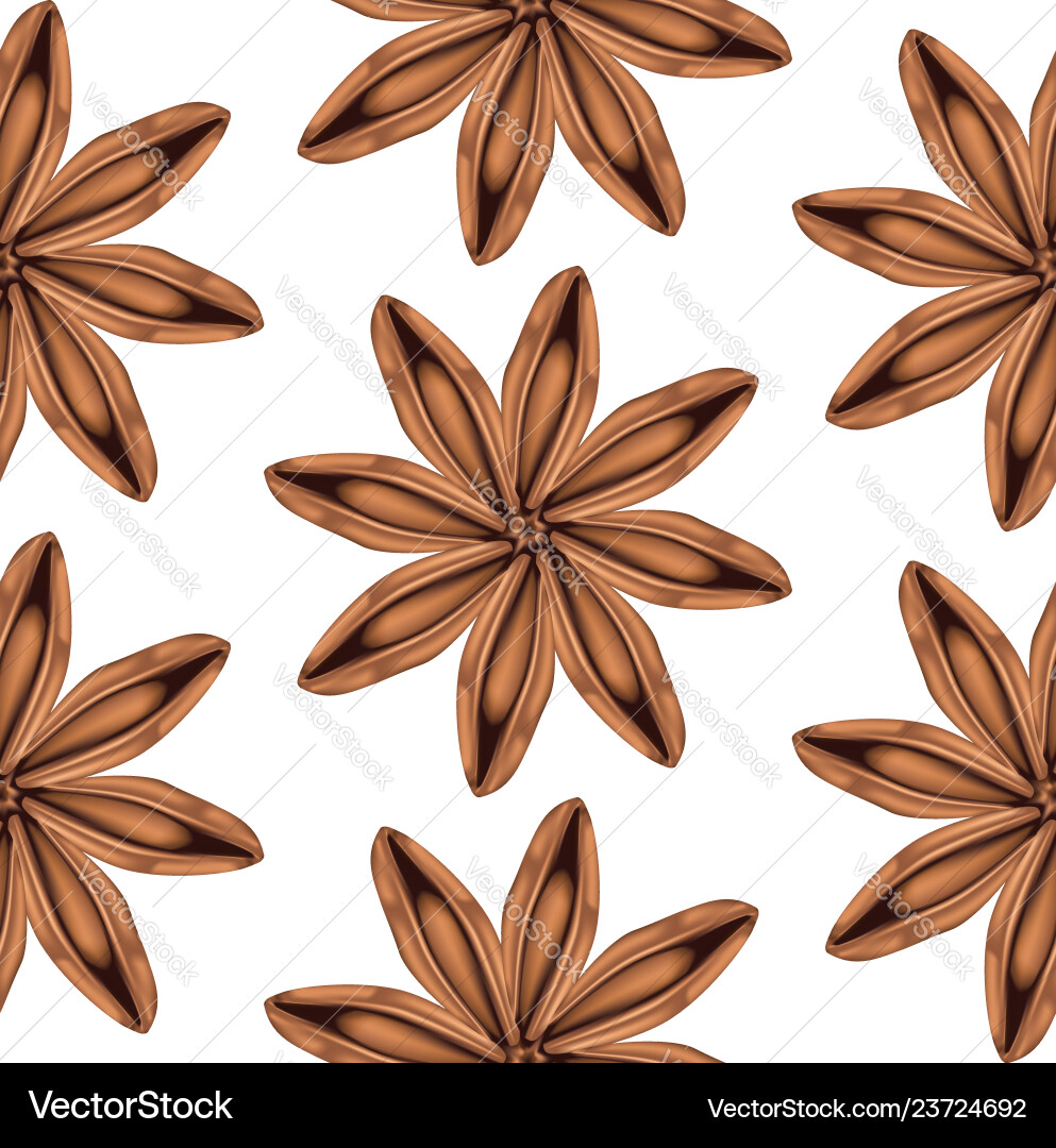 Star of anise Royalty Free Vector Image - VectorStock