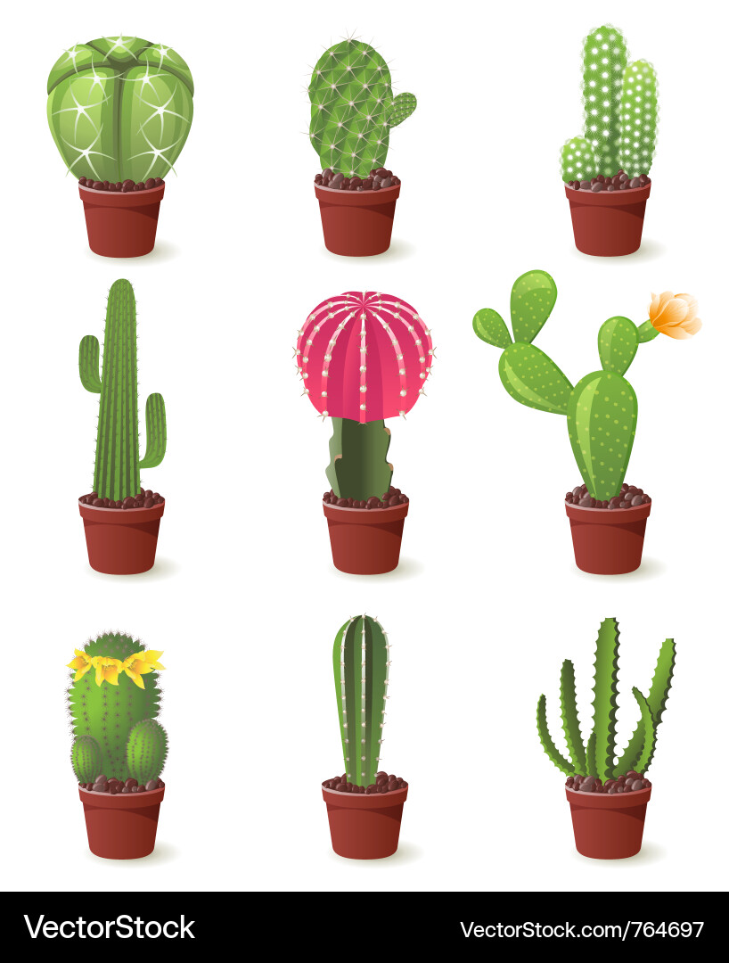 9 cactuses icons set Royalty Free Vector Image