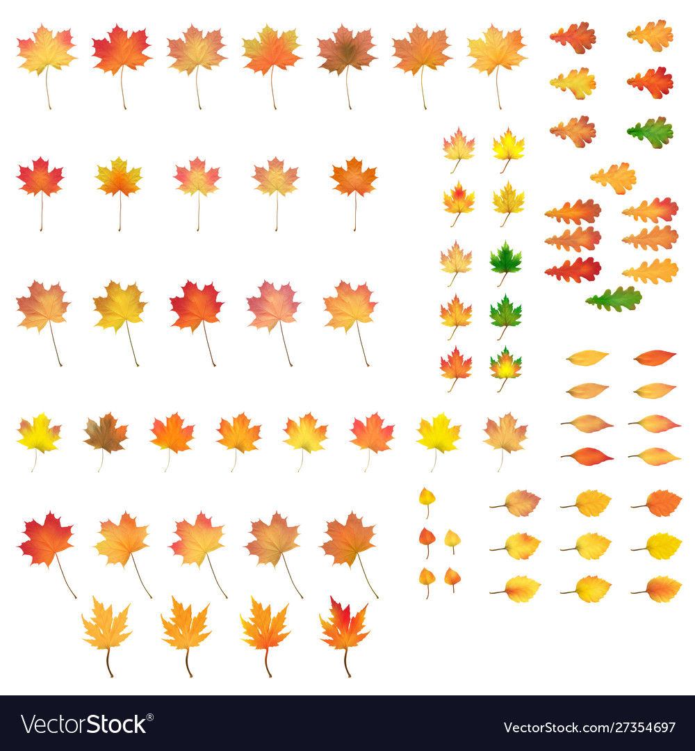 Realistic bright colorful autumn fallen leaves Vector Image