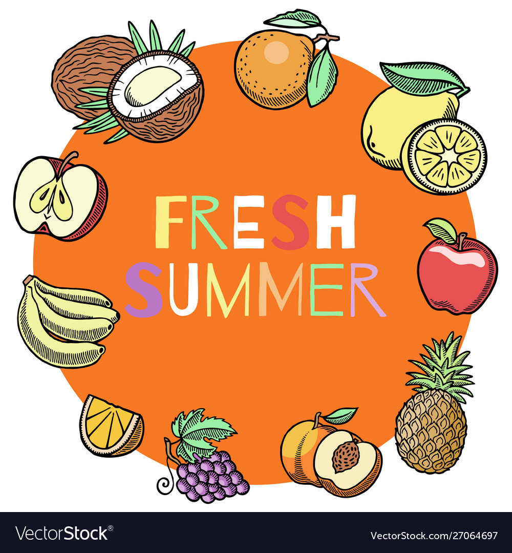 Summer fruits hand drawn Royalty Free Vector Image