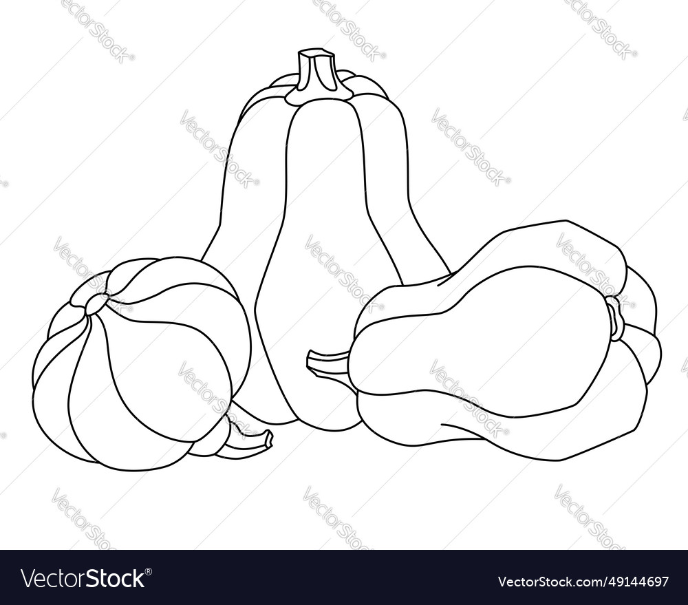 Three pumpkins - linear drawing Royalty Free Vector Image