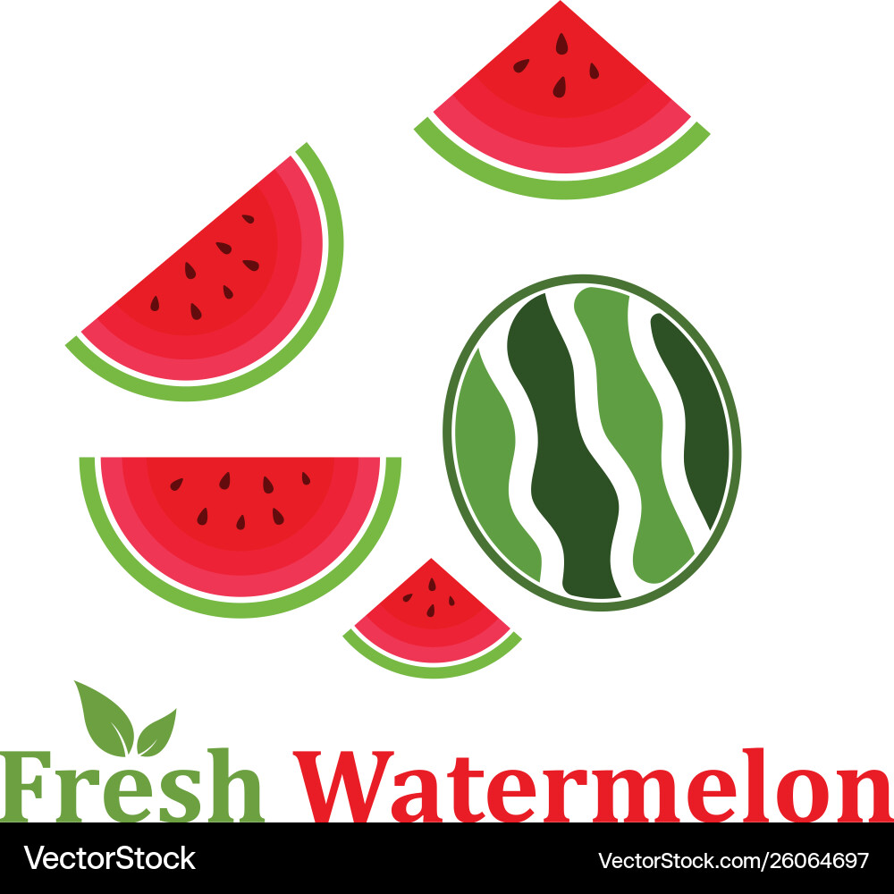 Watermelon logo icon Royalty Free Vector Image