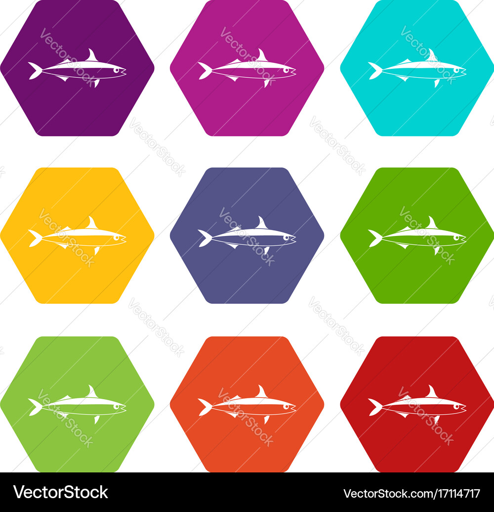 Fish icon set color hexahedron Royalty Free Vector Image