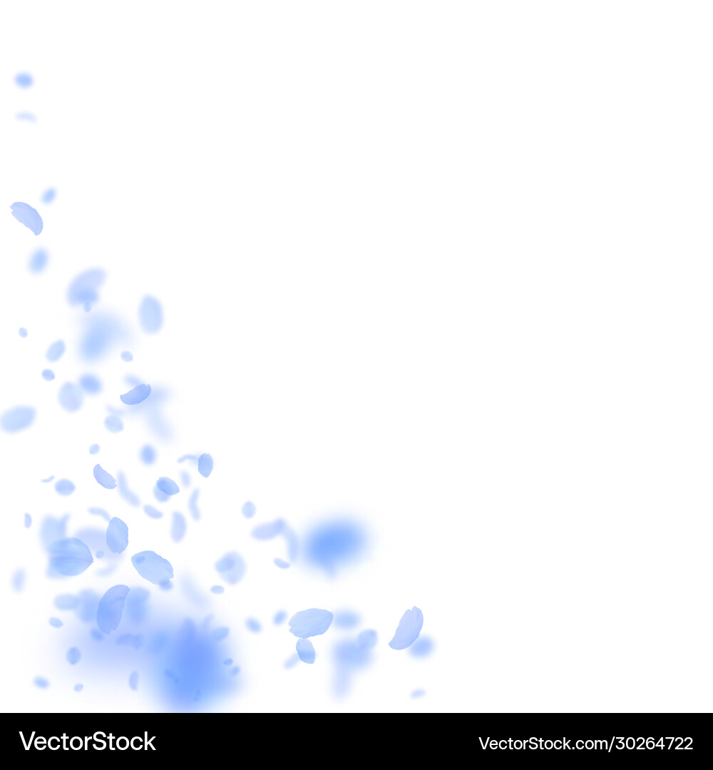 Dark blue flower petals falling down beauteous ro Vector Image