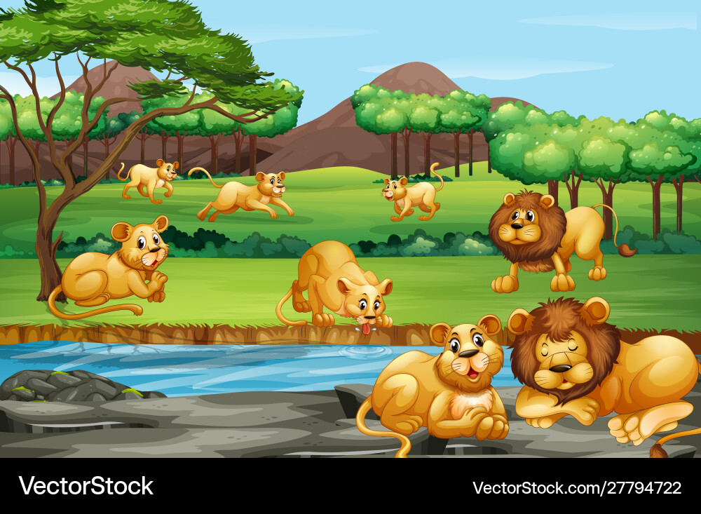 Scene with many lions in field Royalty Free Vector Image