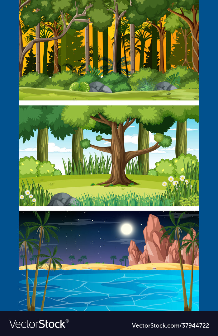 Set different types forest horizontal scenes Vector Image