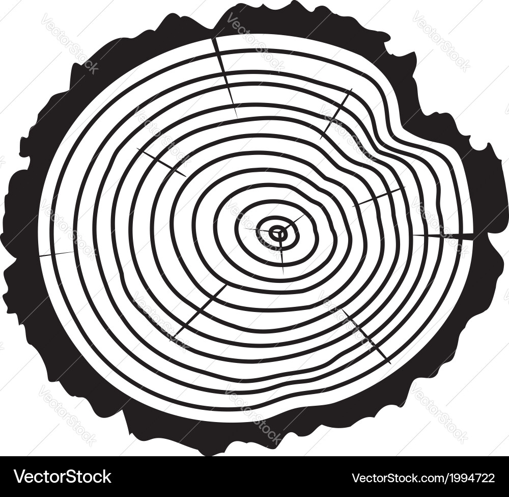 Wooden cut of a tree log Royalty Free Vector Image