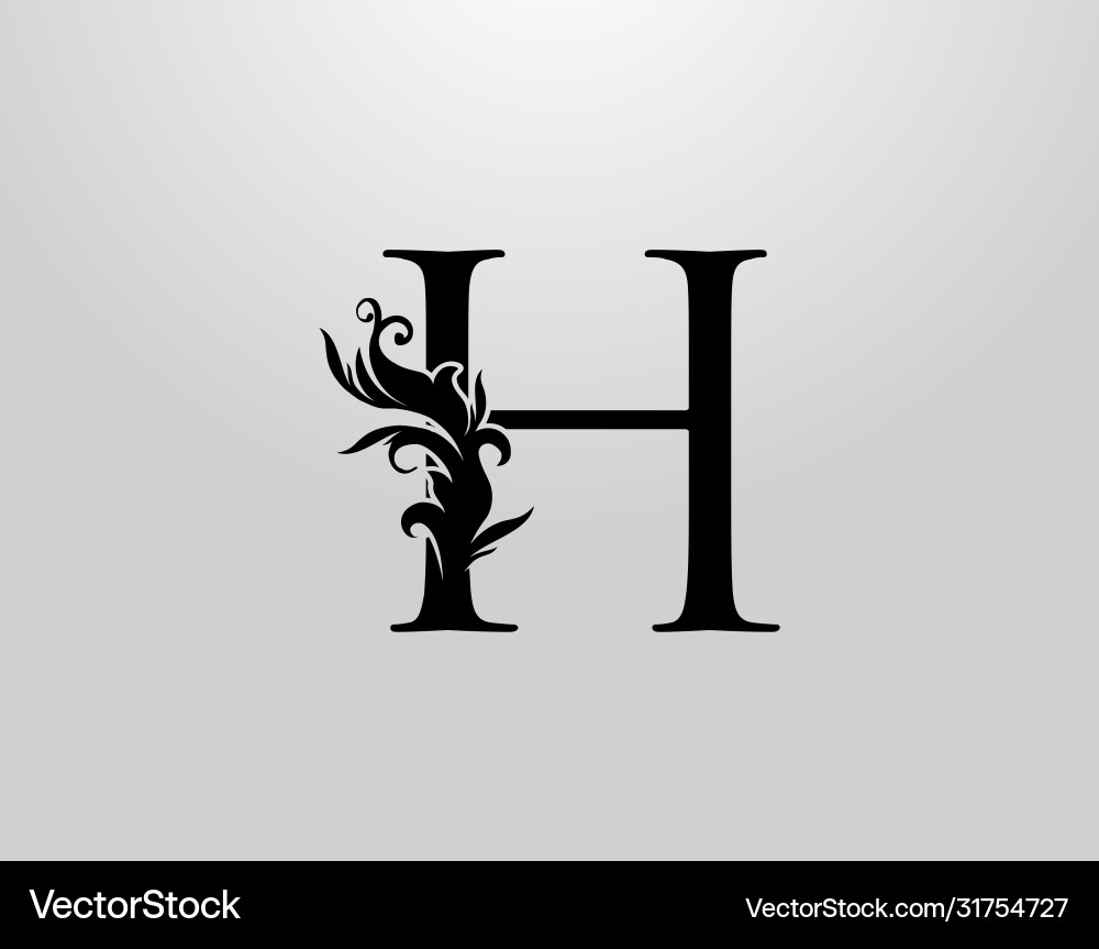 Calligraphy Letter H Designs