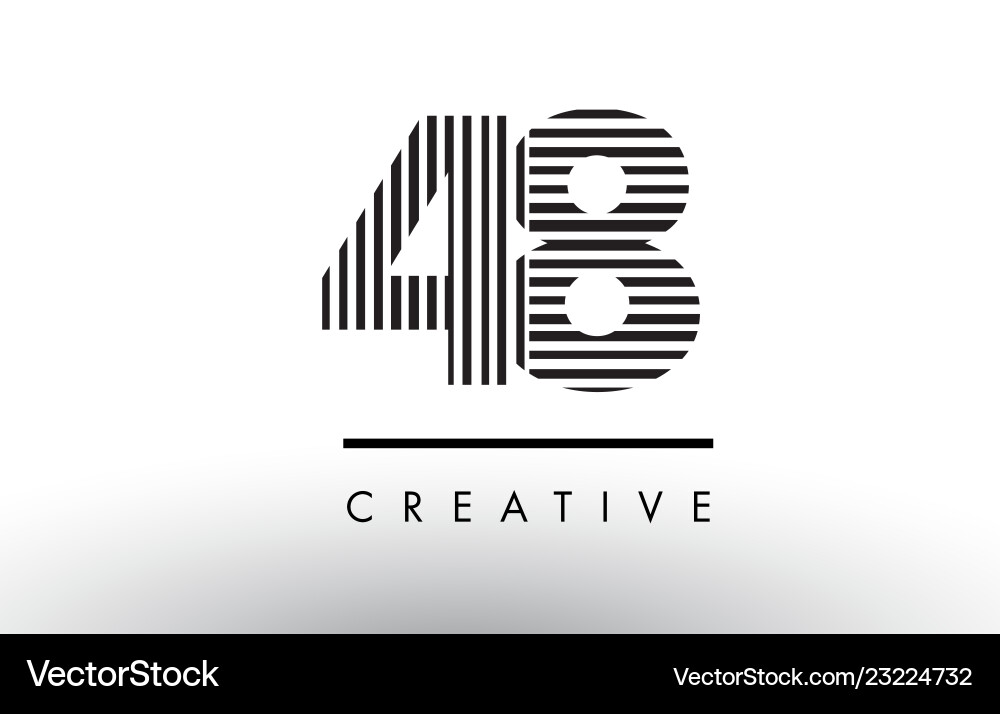 48 black and white lines number logo design Vector Image