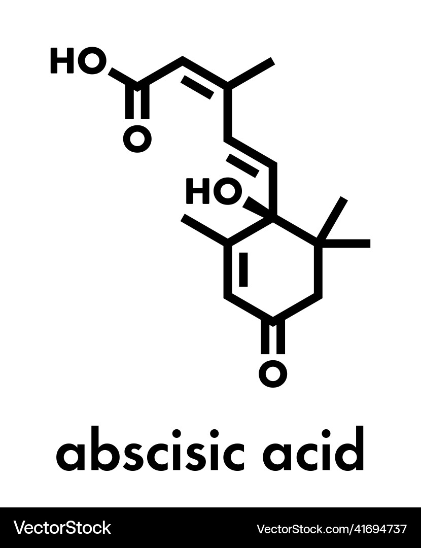 Abscisic acid plant stress molecule skeletal Vector Image