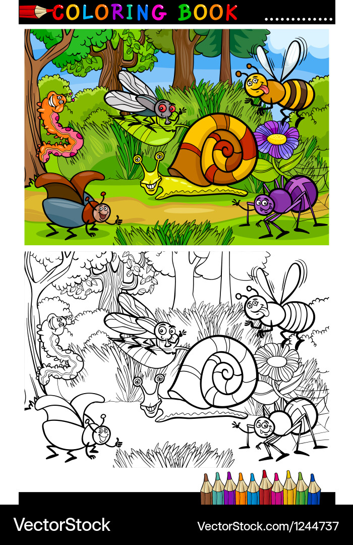 Cartoon insects or bugs for coloring book Vector Image