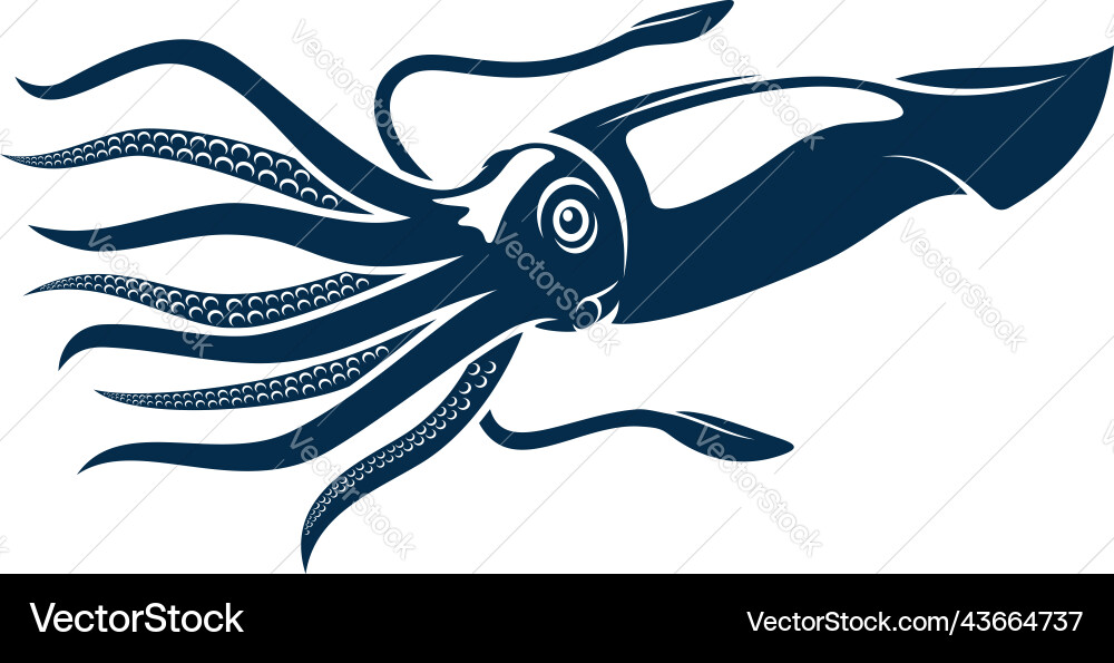 Hooked squid isolated marine animal with tentacles