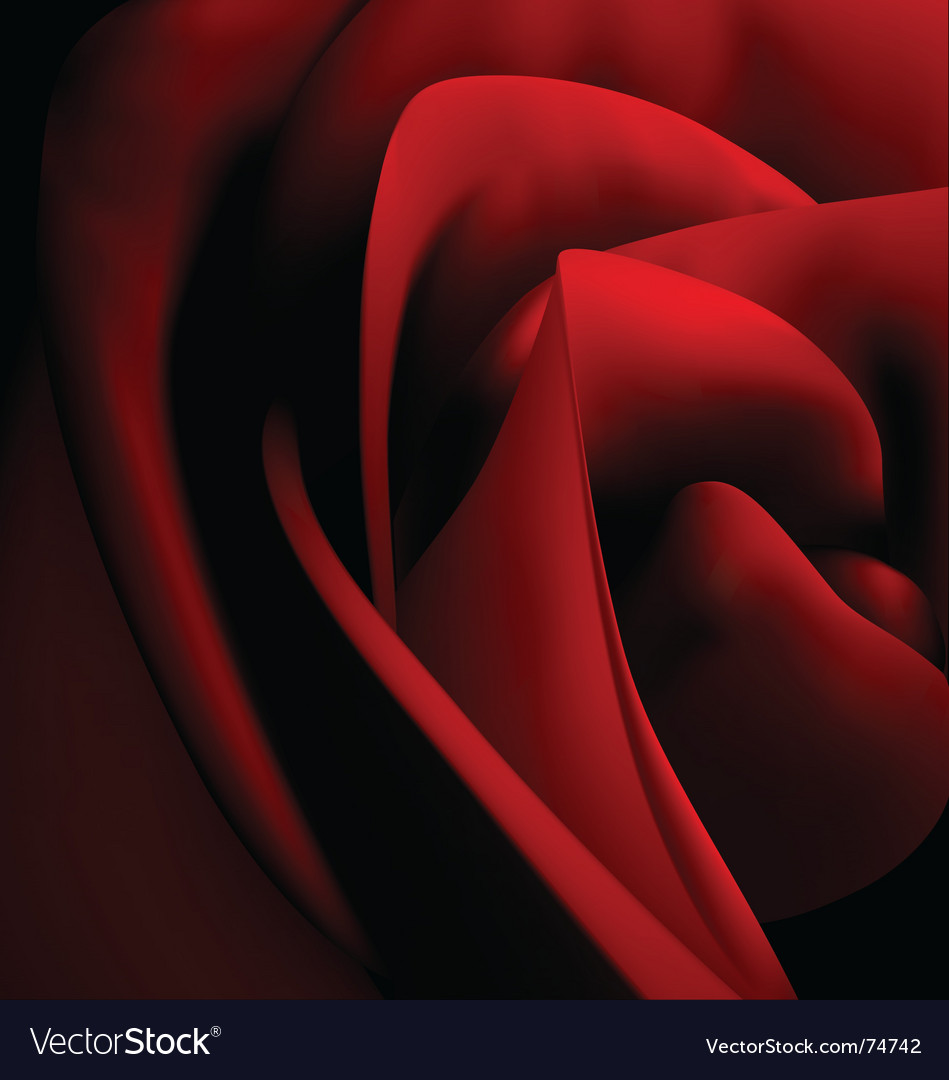 Rose Royalty Free Vector Image - VectorStock