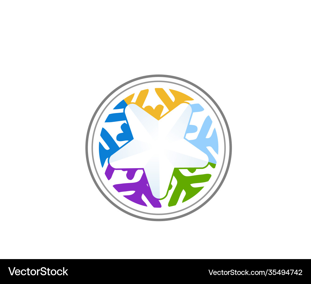 Star and snow ice icon logo design template Vector Image