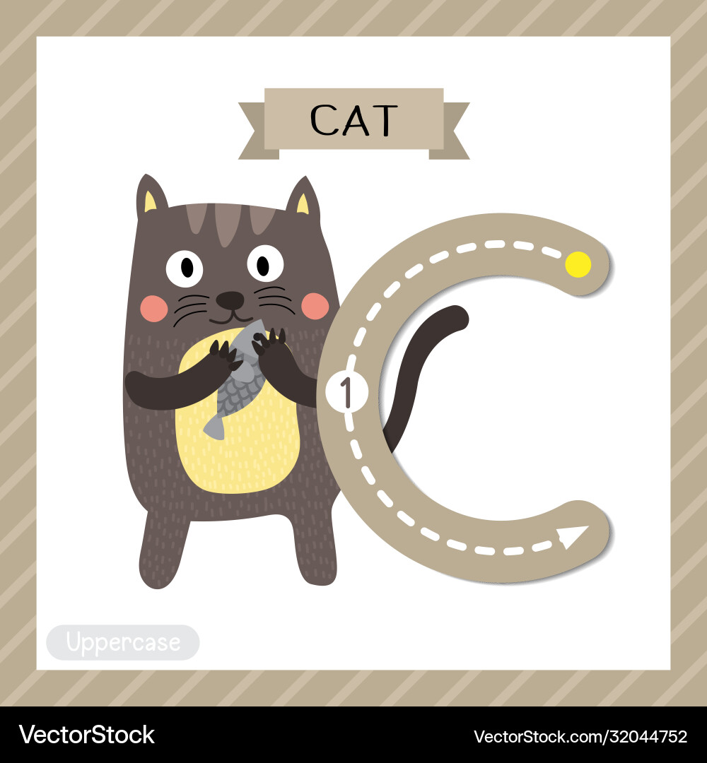 Letter c uppercase tracing standing cat holding Vector Image