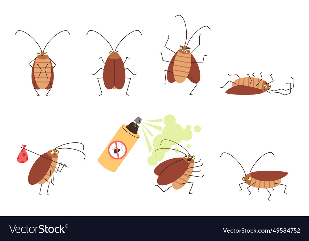 Set of funny and cute cockroach cartoon flat Vector Image